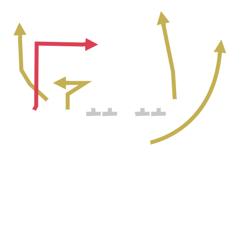 Flanker Dig - Madden 24 Playbooks
