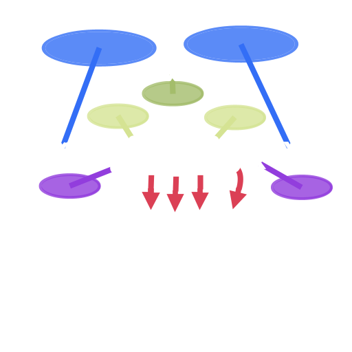 Cover 2 Invert - Madden 24 Playbooks