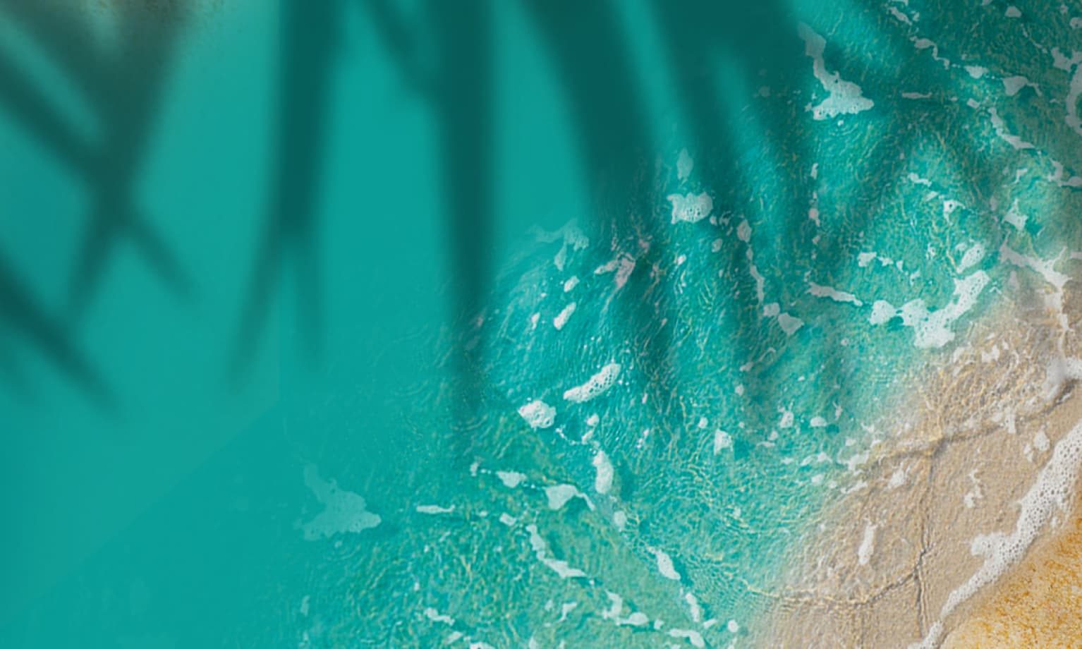 Electronic Arts Home Page - Official EA Site