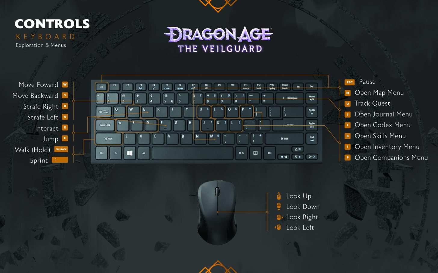 Journal #12 - Top Things to Know before You Play