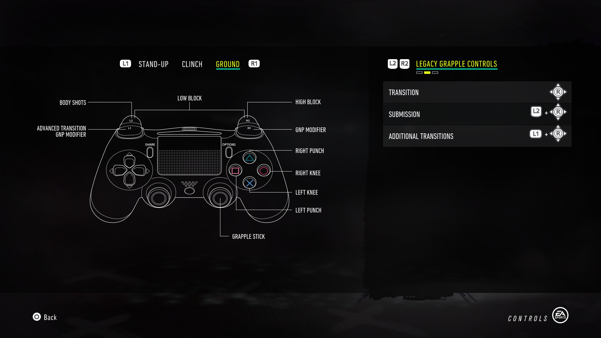 EA Sports UFC 4 Accessibility Controls for playing EA Sports UFC 4 for PS4.