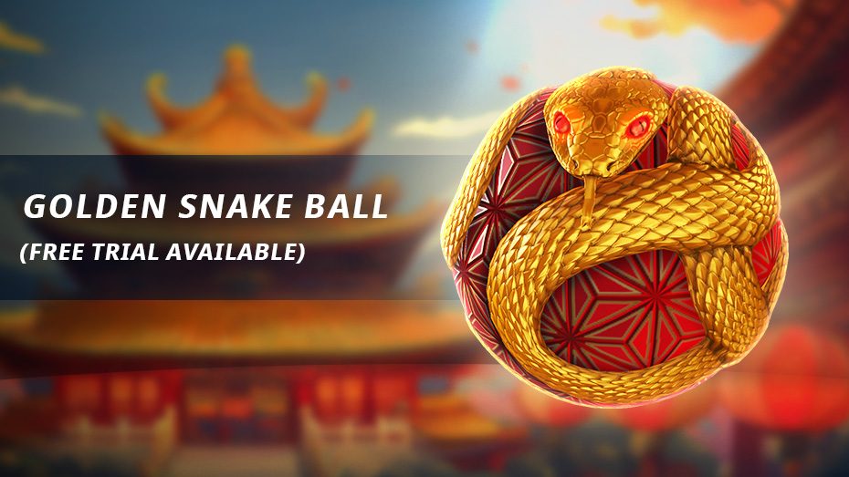 Year Of The Snake Bundle