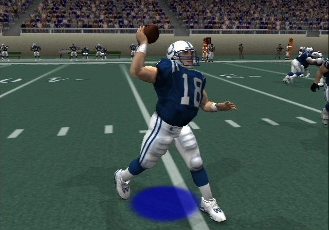 Madden NFL 2001 Photoblog