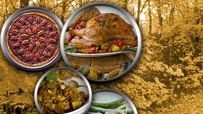 MUT Robust Turkey Day Collection