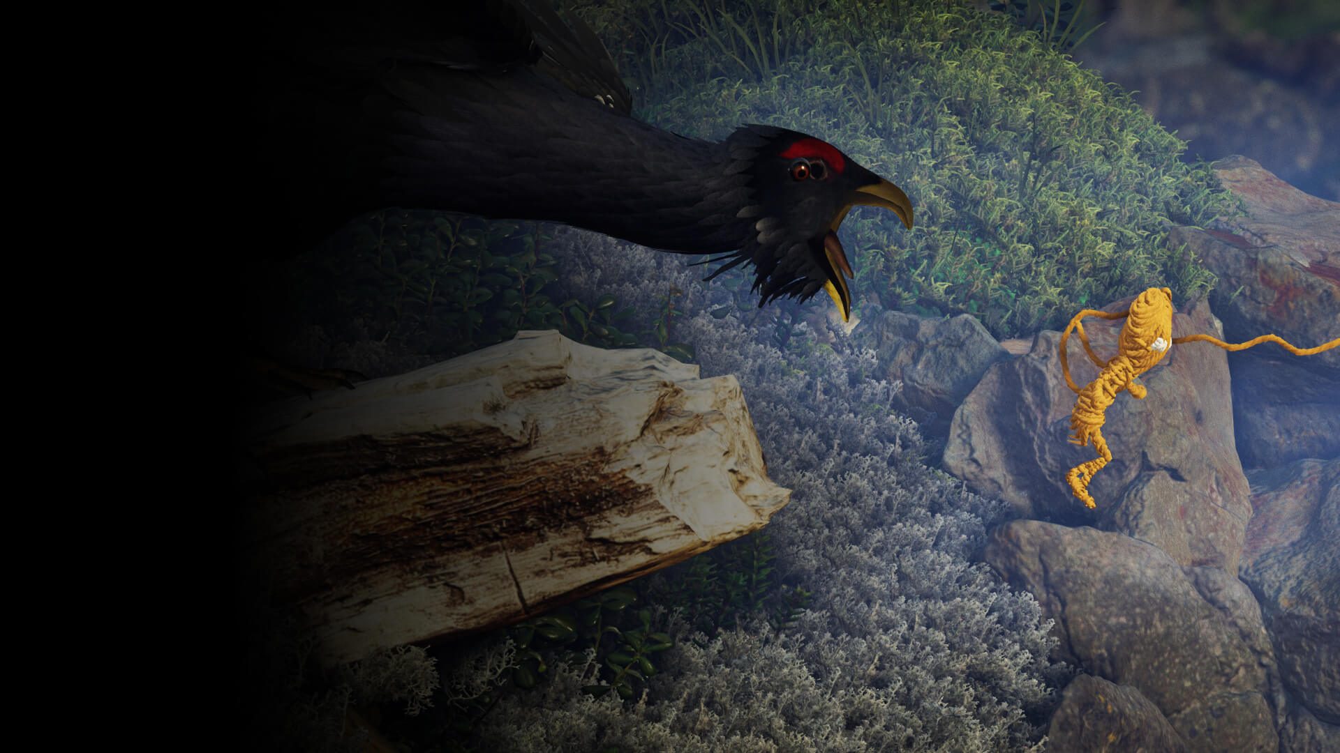 There's a Real-Life Celebrity in Unravel Two: This Vicious Turkey