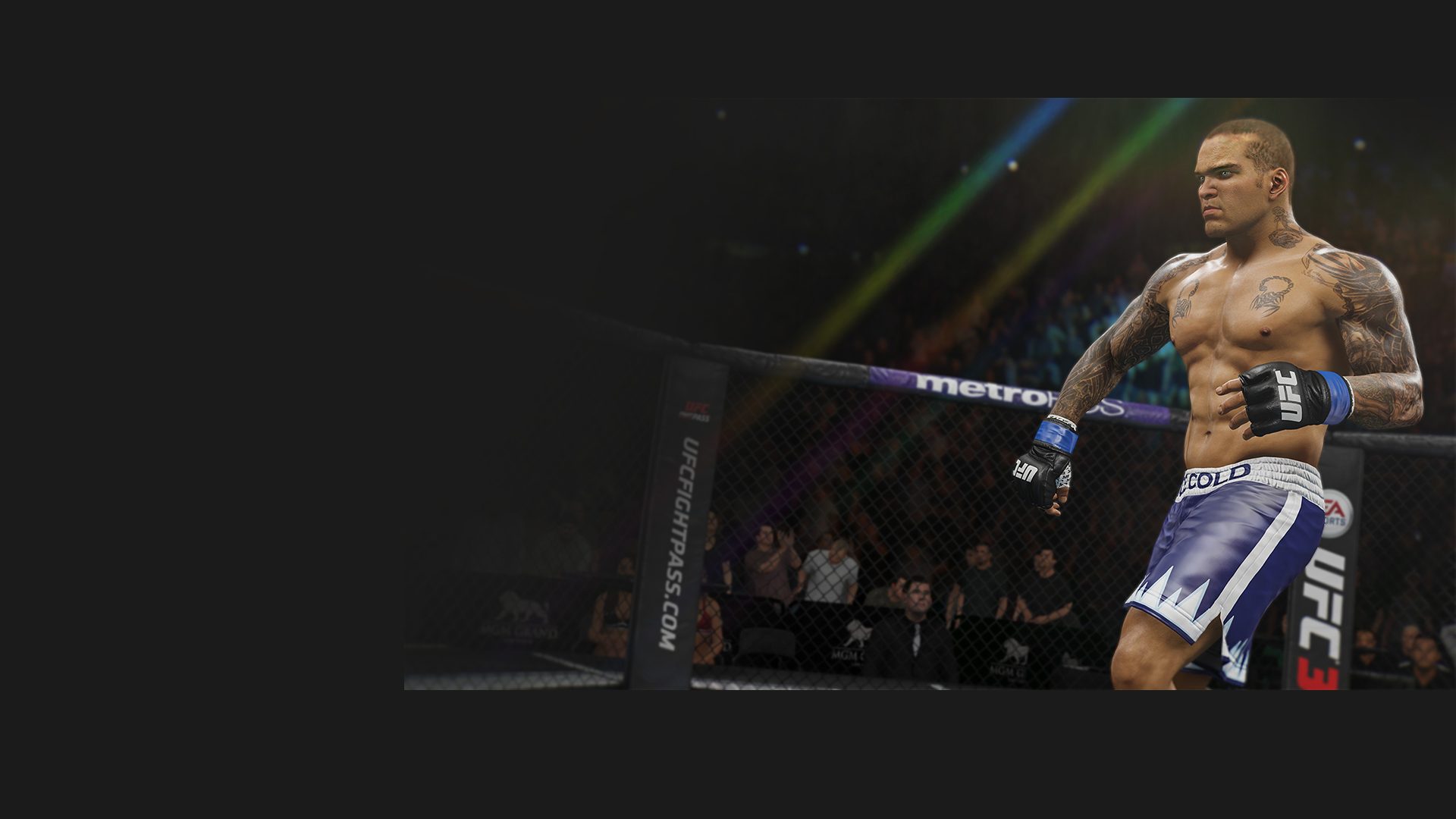UFC 3 – Fight Night Champion Bundle Details