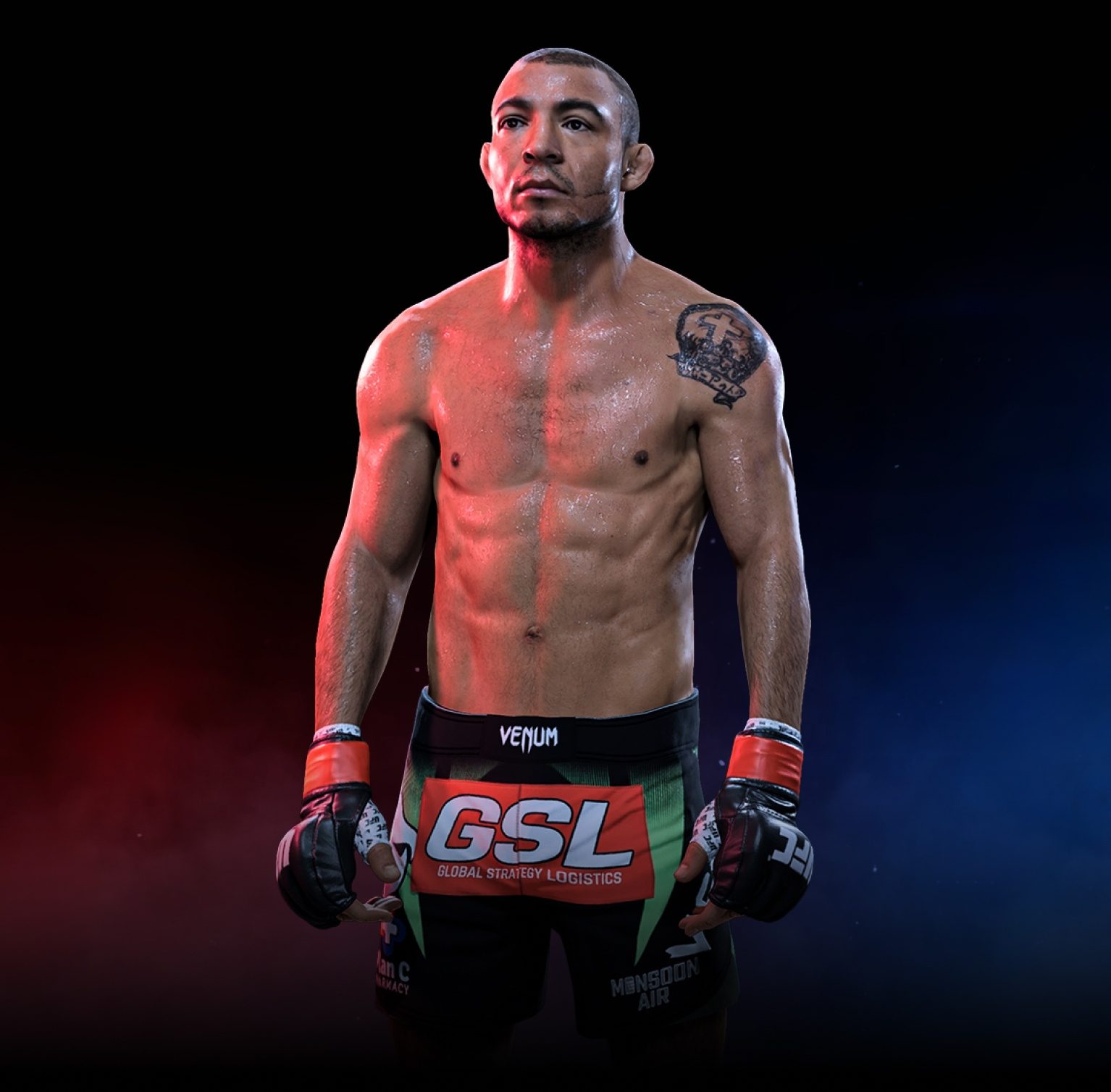Jose Aldo (UFC 179)