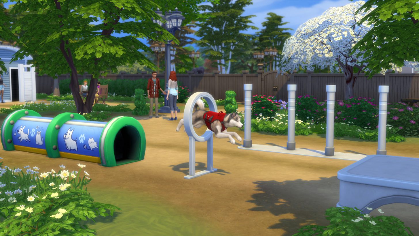 Explore The New World Of Brindleton Bay!