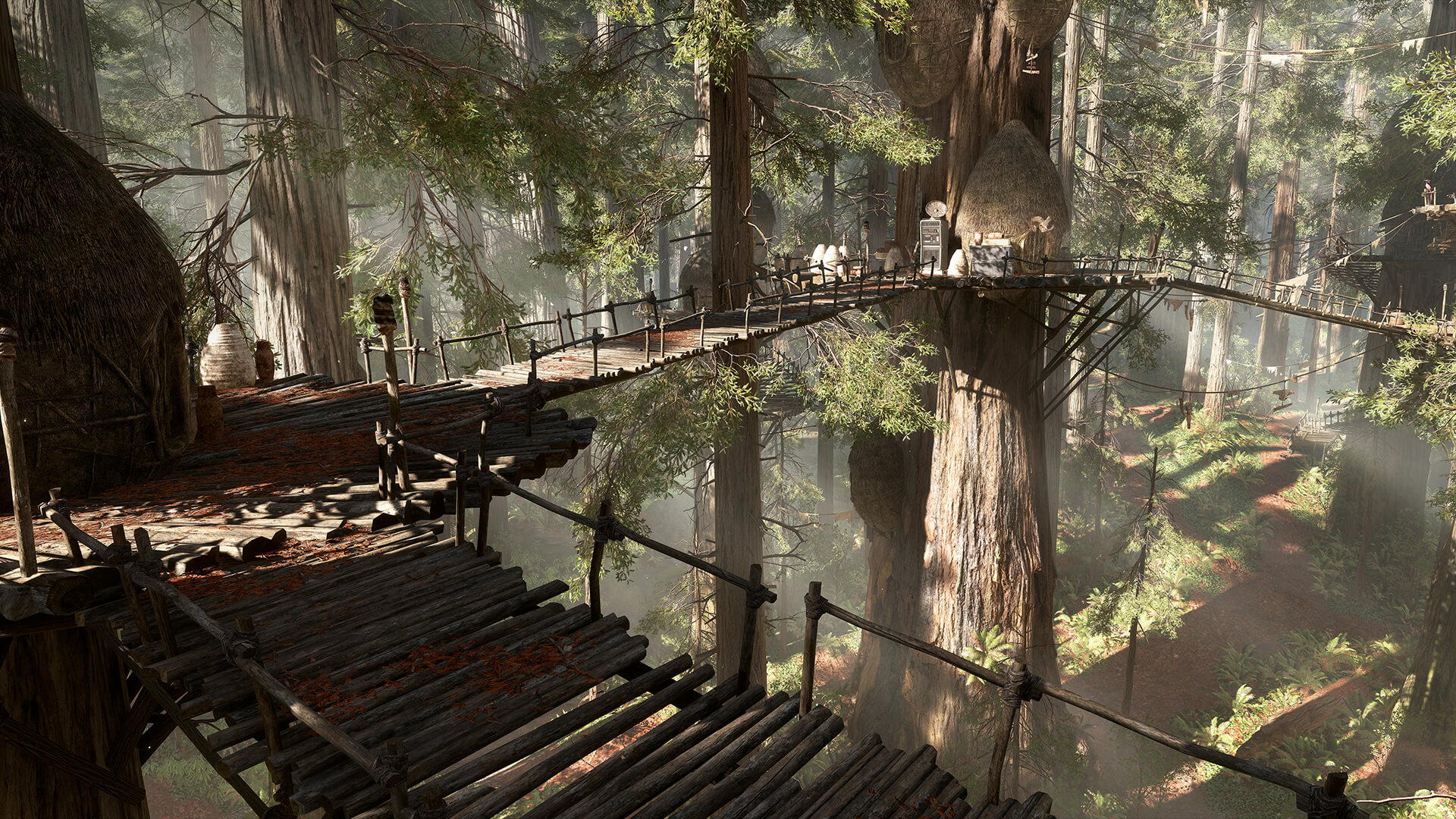 Star Wars Battlefront Planets: Explore Endor - Star Wars - Official EA Site